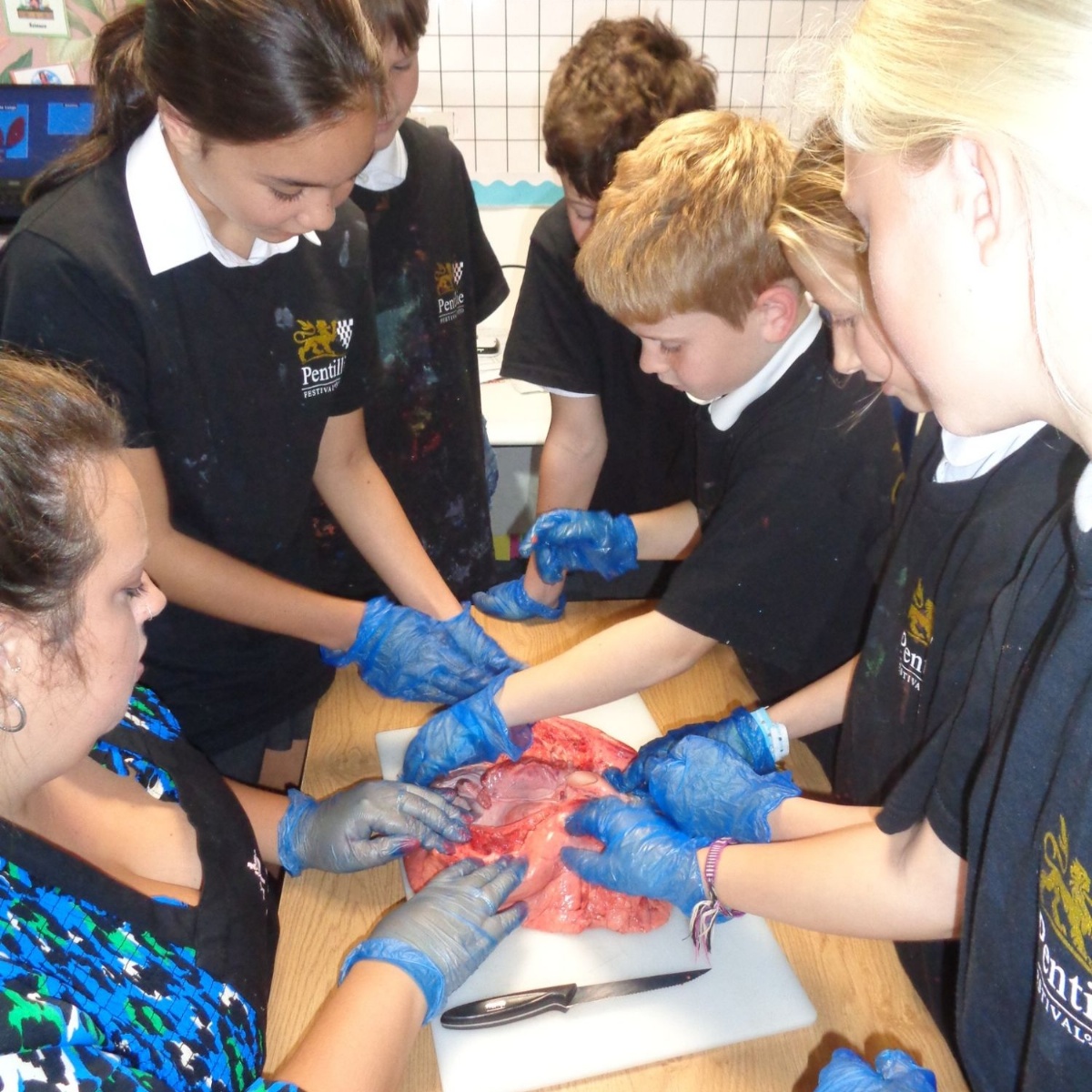 Landulph Primary School - The function of the Lungs - Class 3 take a ...